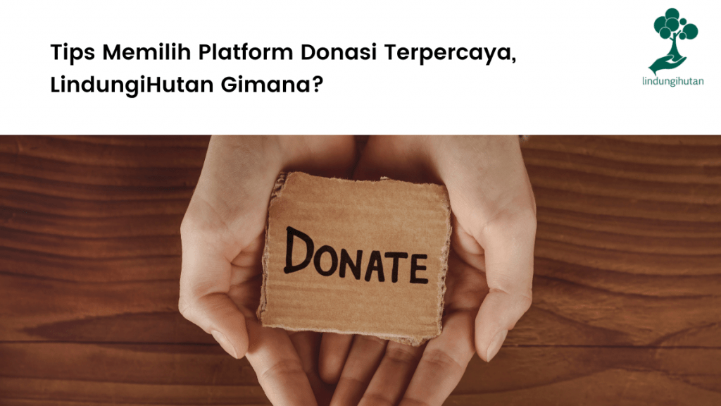 Tips Memilih Platform Donasi Terpercaya, LindungiHutan Gimana? - Blog ...