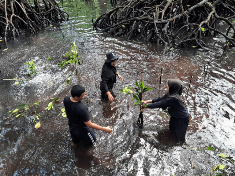 KAUSA Indonesia Tanam 260 Pohon di Toli-Toli dan Bontang