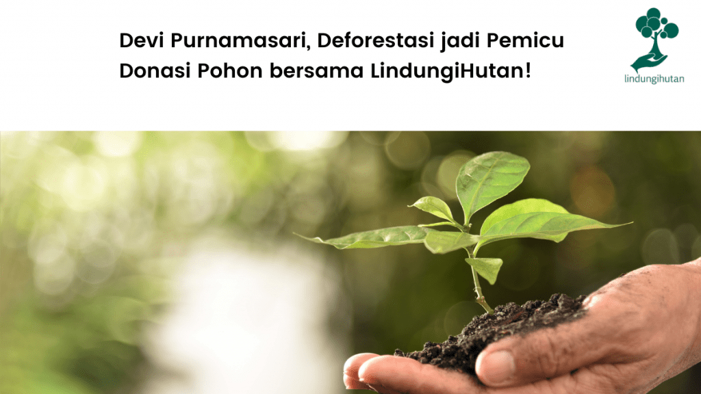 Solusi Deforestasi, Berikut yang Dapat Diupayakan!