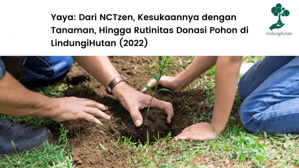 Tanaman Puring: Tanaman Hias yang Memiliki Beragam Corak Indah (2022)