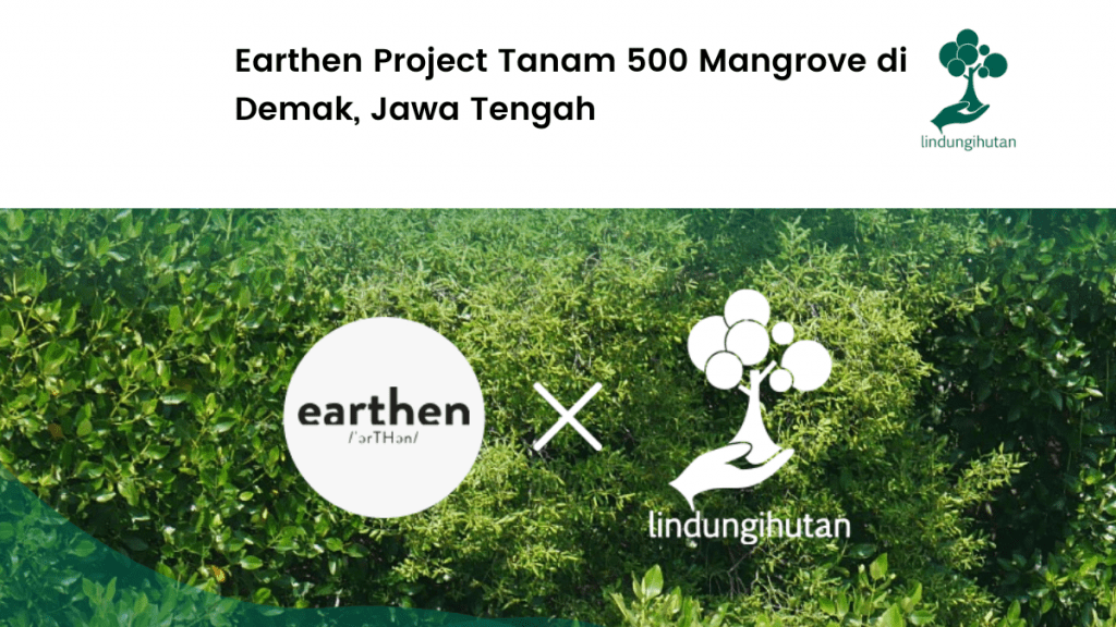 Earthen Project Tanam 500 Mangrove di Demak, Jawa Tengah