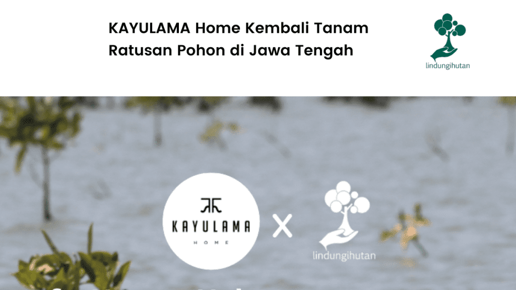 KAYULAMA Home Kembali Tanam Ratusan Pohon di Jawa Tengah