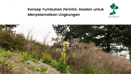 Konsep Tumbuhan Perintis: Awalan untuk Menyelamatkan Lingkungan (2022)