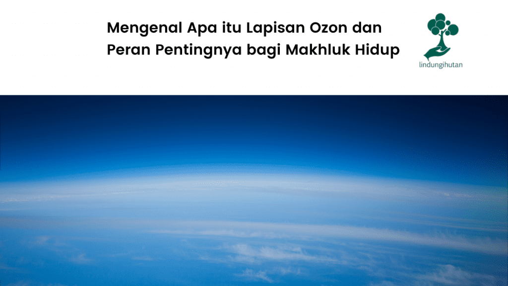 Mengenal Apa itu Lapisan Ozon dan Peran Pentingnya bagi Makhluk Hidup ...