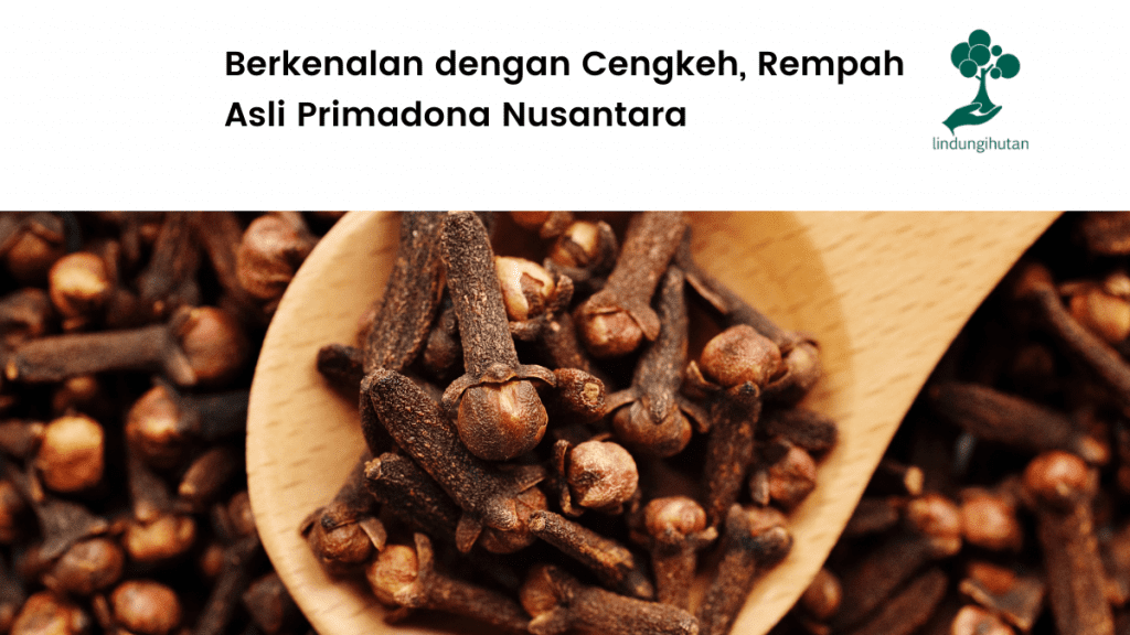 Kenalan dengan Cengkeh, Rempah Asli Primadona Nusantara (2022)