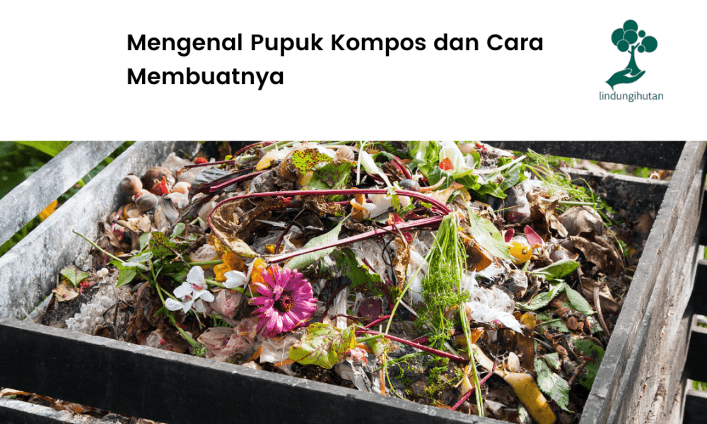 Mengenal Pupuk Kompos dan Cara Membuatnya (2022)