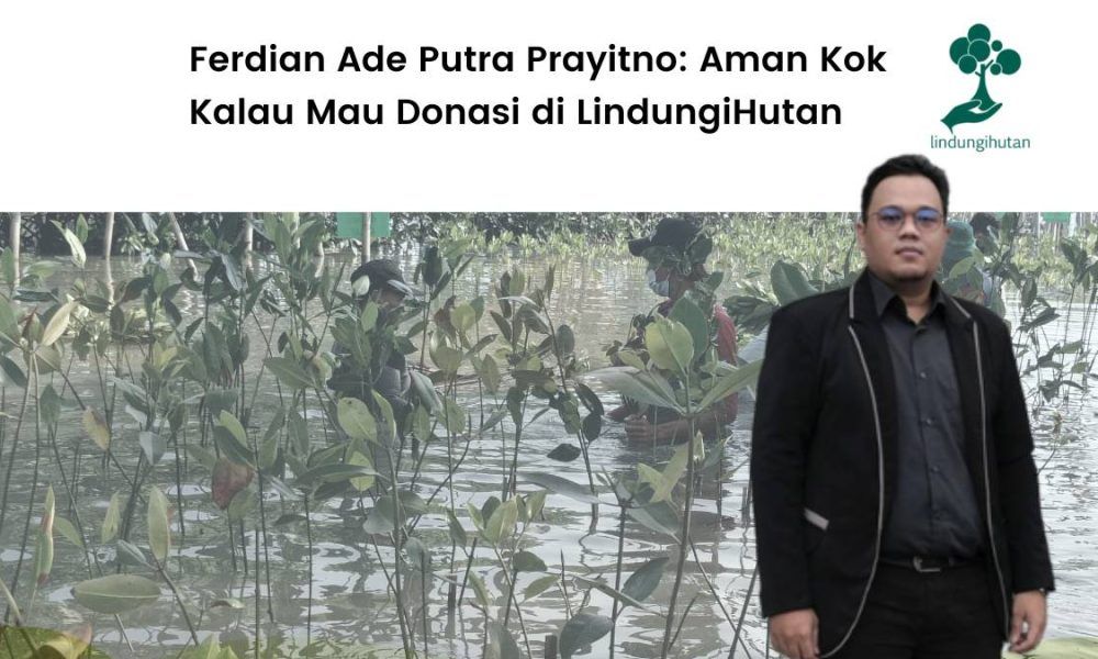 Ferdian Ade Putra Prayitno: Aman Kok Kalau Mau Donasi di LindungiHutan ...