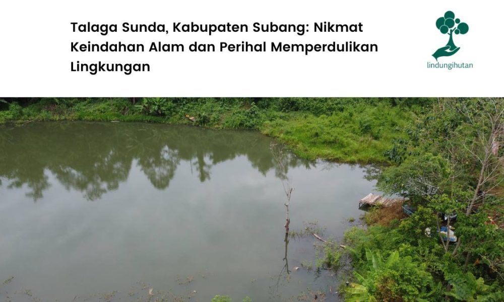 Talaga Sunda: Keindahan Alam yang Perlu Dilestarikan