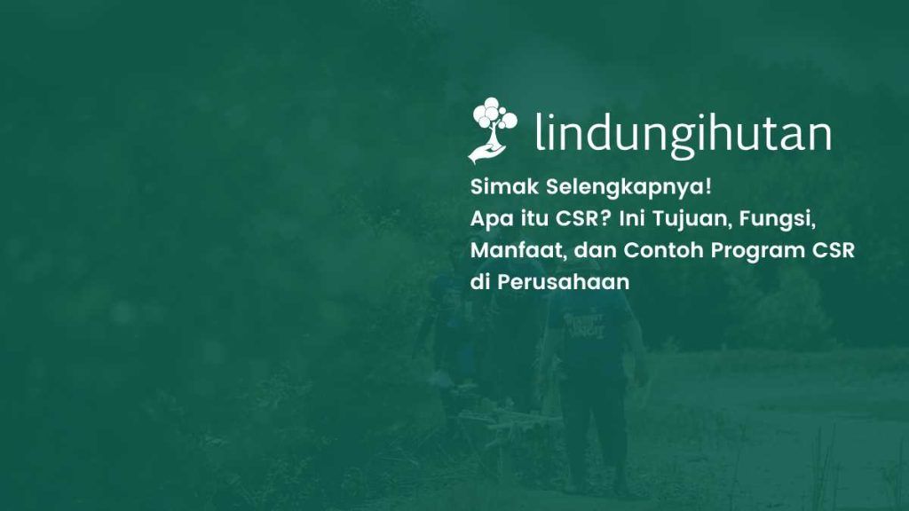 Apa itu CSR? Ini Tujuan, Fungsi, Manfaat, dan Contoh Program