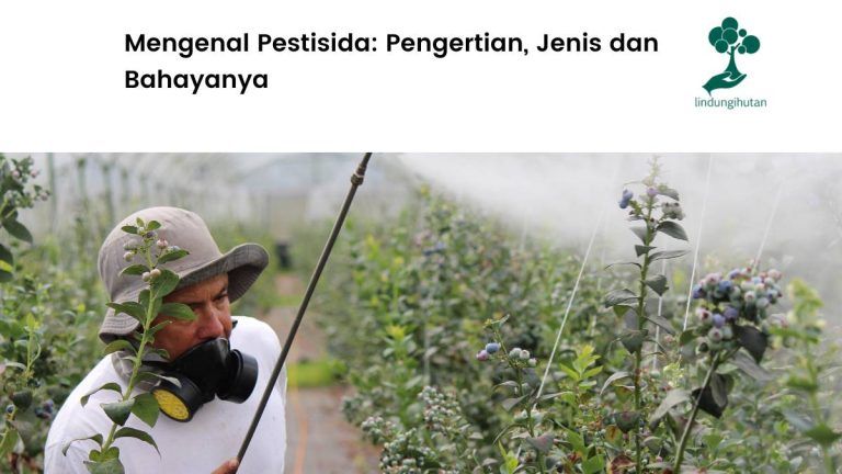 Mengenal Pestisida: Pengertian, Jenis, dan Bahanyanya