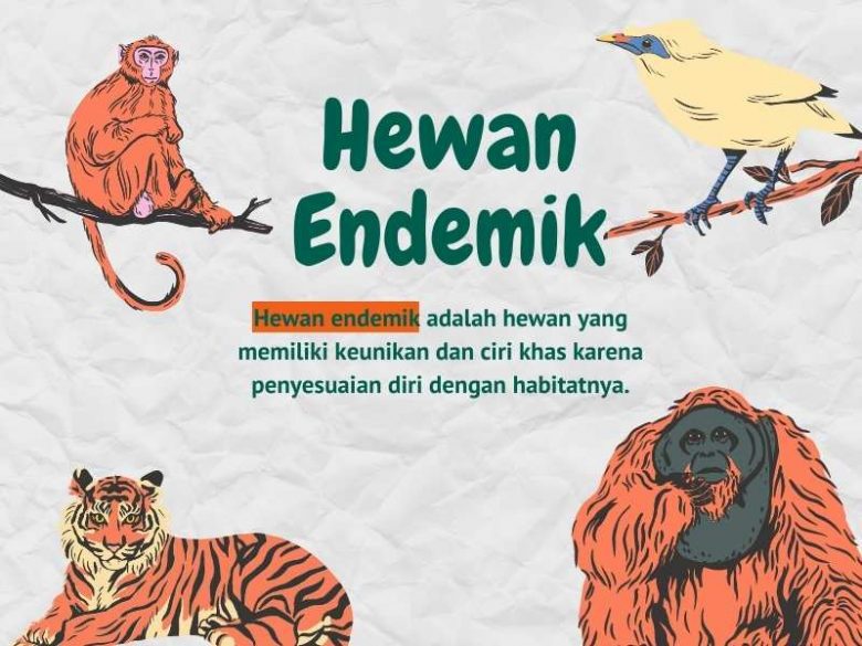 10+ Hewan Endemik Asli Indonesia Beserta Gambarnya