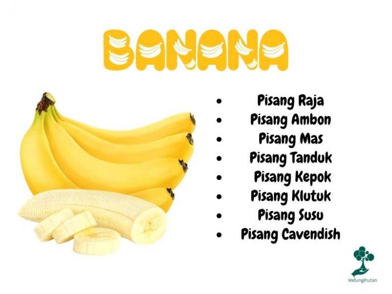 Pohon Pisang: Taksonomi, Manfaat, dan 9 Jenis Pisang