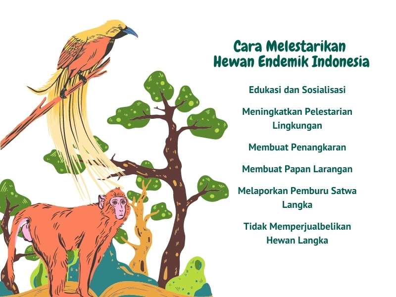 10+ Hewan Endemik Asli Indonesia Beserta Gambarnya