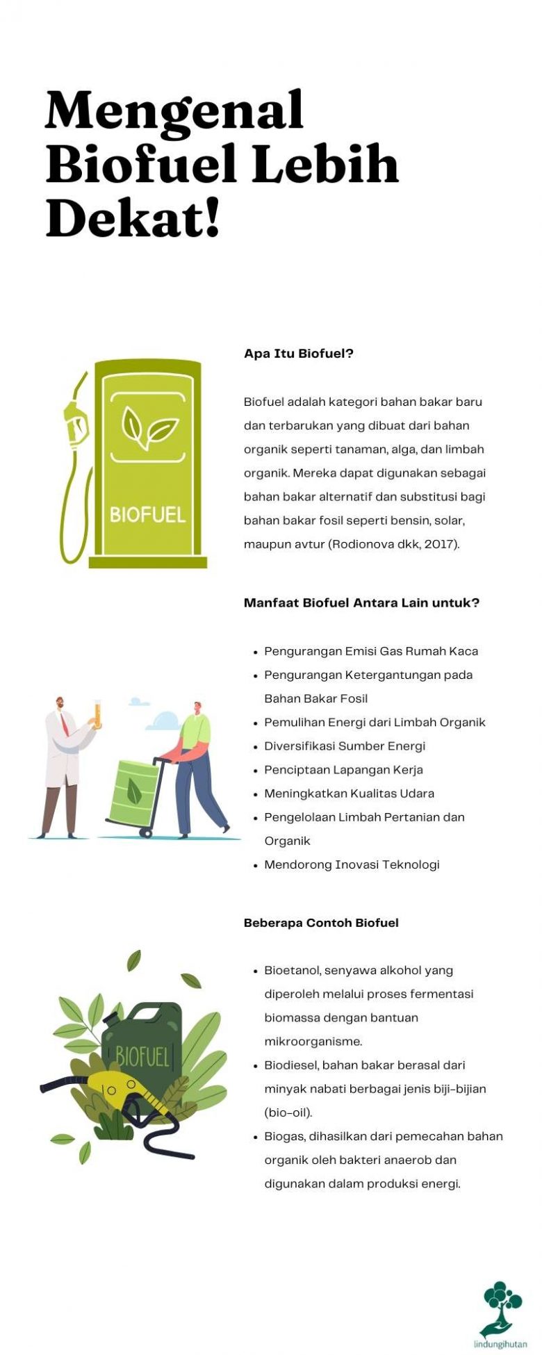 Biofuel: Sumber Energi Ramah Lingkungan Penyangga Aktivitas Kehidupan ...