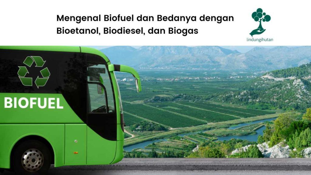 Biofuel: Sumber Energi Ramah Lingkungan Penyangga Aktivitas Kehidupan ...