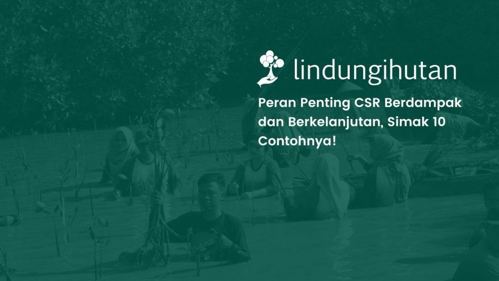 10 Contoh Program CSR Perusahaan di Indonesia
