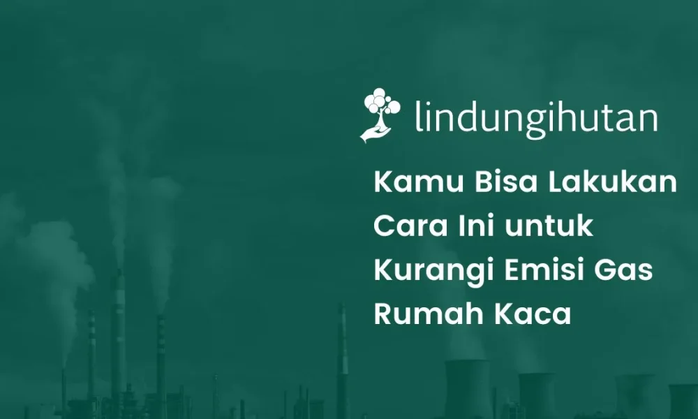 10+ Cara Mudah Mengurangi Emisi Gas Rumah Kaca