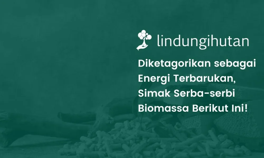 Energi Biomassa - Mengenal Manfaat dan Contohnya