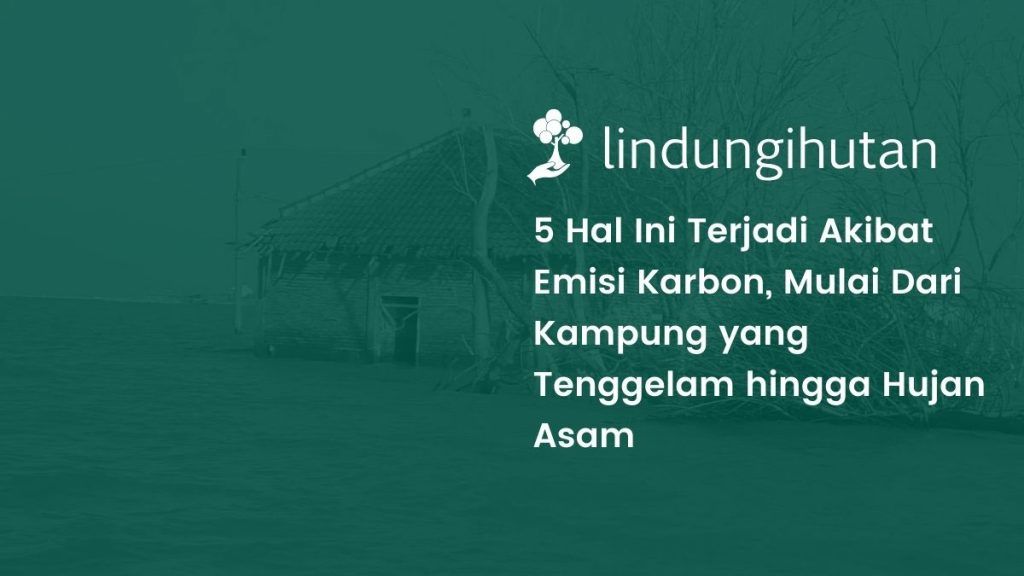 5 Dampak Emisi Karbon, Perubahan Iklim sampai Hujan Asam