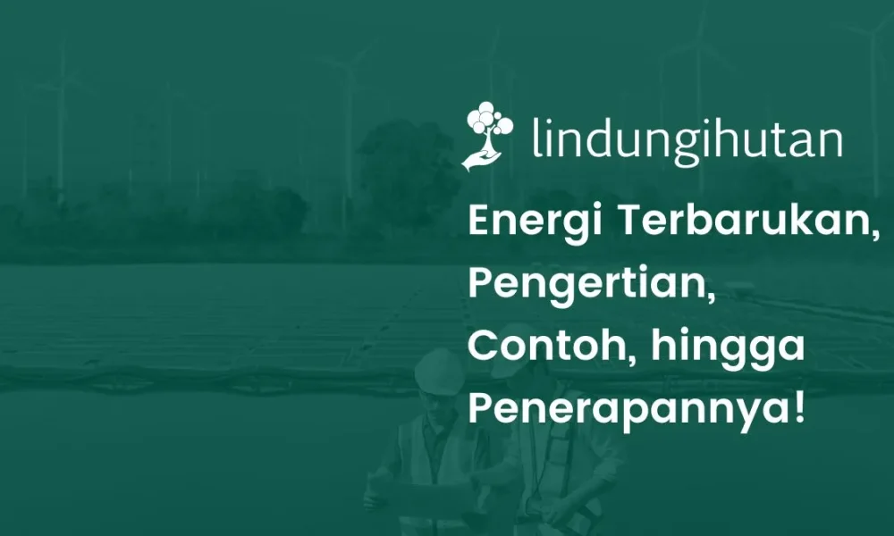Energi Terbarukan: Pengertian, Contoh dan Penerapannya
