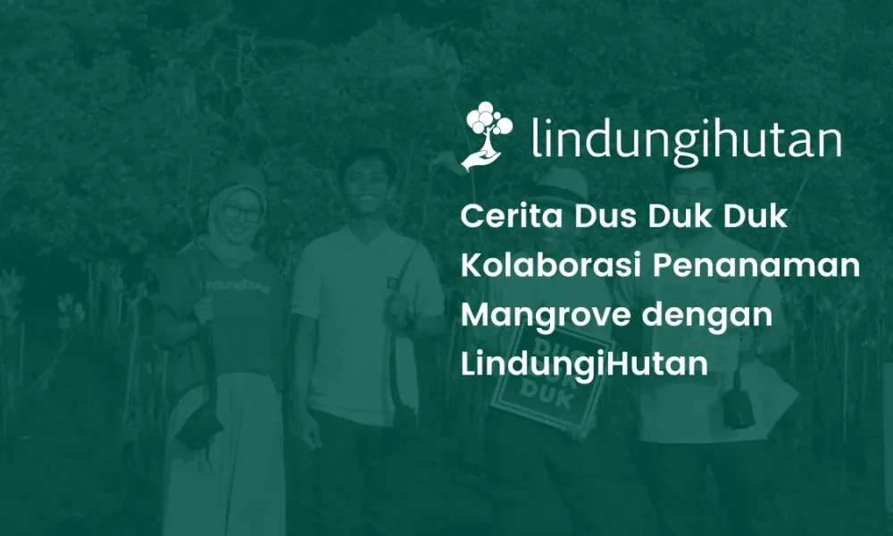 Cerita Kolaborasi Penanaman Mangrove Dus Duk Duk dengan LindungiHutan