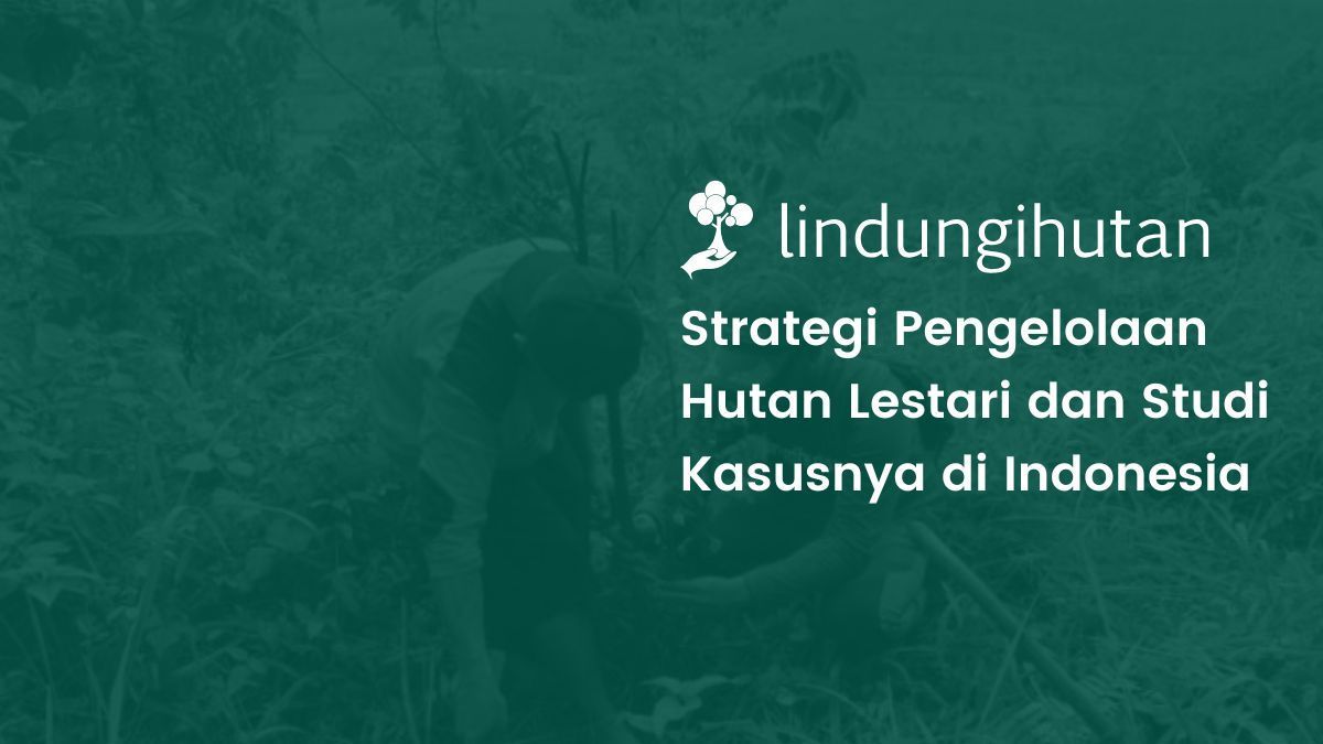 Apa Itu Pengelolaan Hutan Lestari dan Mengapa Penting bagi Masa Depan ...