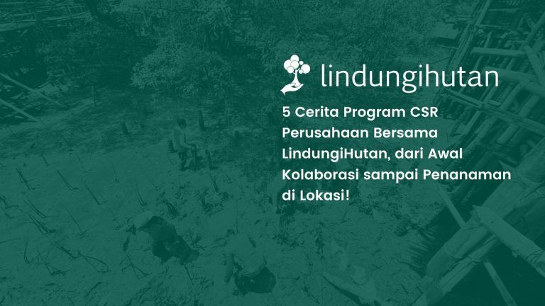 5 Contoh Program CSR Penanaman Pohon LindungiHutan Bersama Mitra Hijau