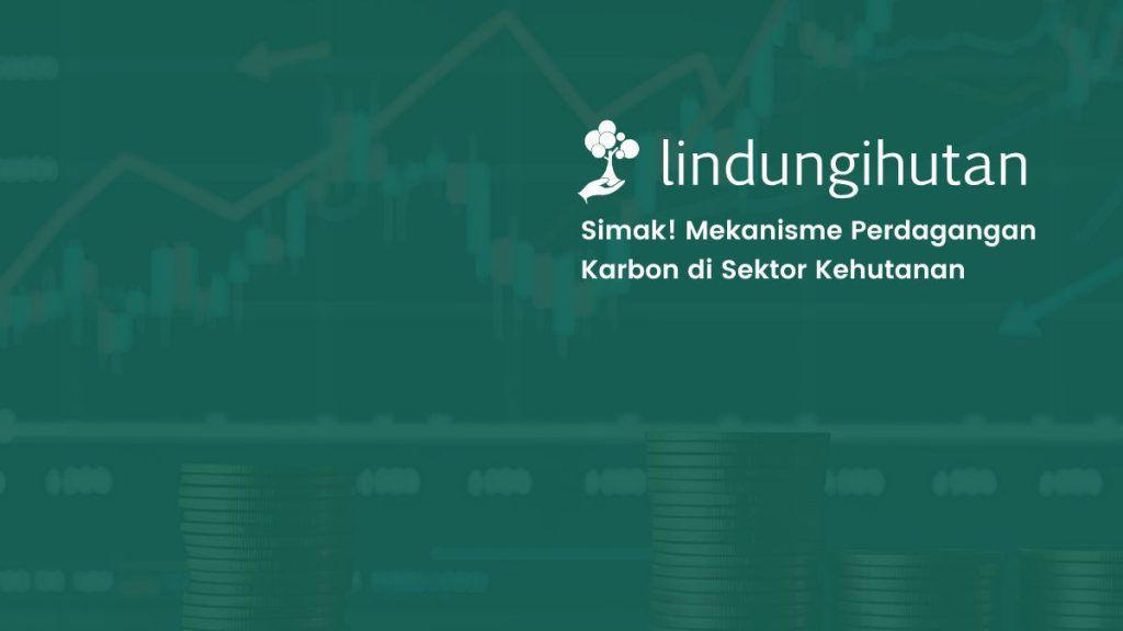 Mekanisme Perdagangan Karbon Sektor Kehutanan