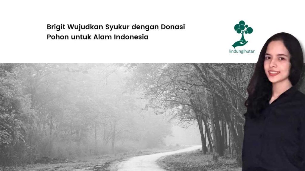 Donasi Pohon Brigit: Menghubungkan Spiritualitas dan Kepedulian Lingkungan