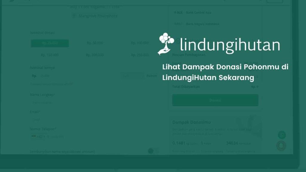 Cara Cek Dampak Donasi Online di LindungiHutan