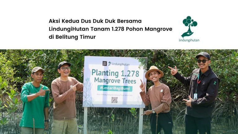 1.278 Pohon Mangrove Kolaborasi Kedua Dus Duk Duk di Kabupaten Belitung ...