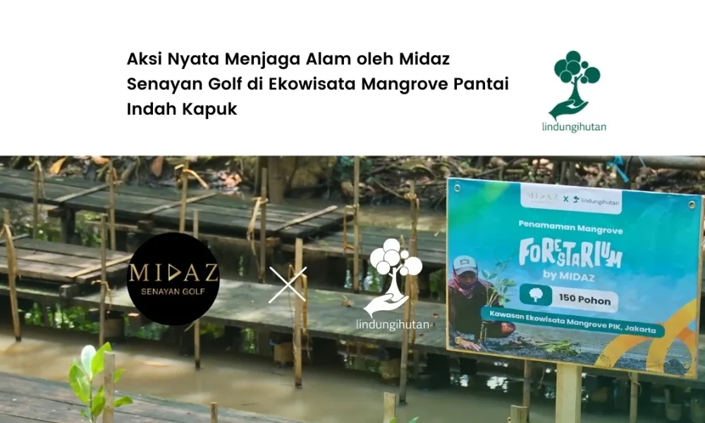 Midaz Senayan Golf Tanam Mangrove di Hutan Mangrove Pantai Indah Kapuk
