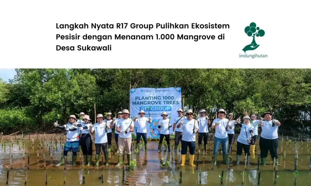 R17 Group Tanam 1.000 Mangrove di Desa Sukawali Tangerang