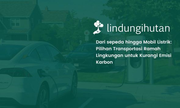 Energi Biomassa - Mengenal Manfaat dan Contohnya
